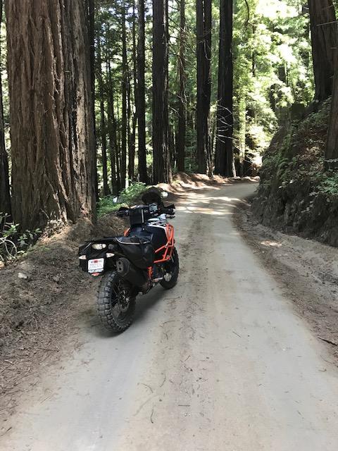 Sierra Nevada Adventures | Dual Sport Multi Day Rides | Pacific Coast ...